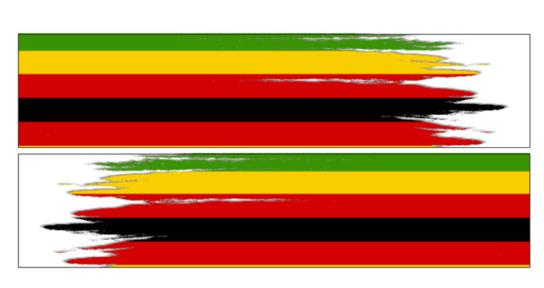 Zim Flag | PDF