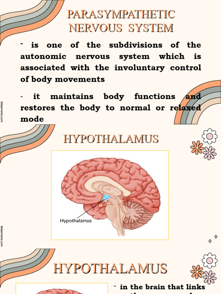 Homeostasis Concepts | Download Free PDF | Homeostasis | Hypothalamus