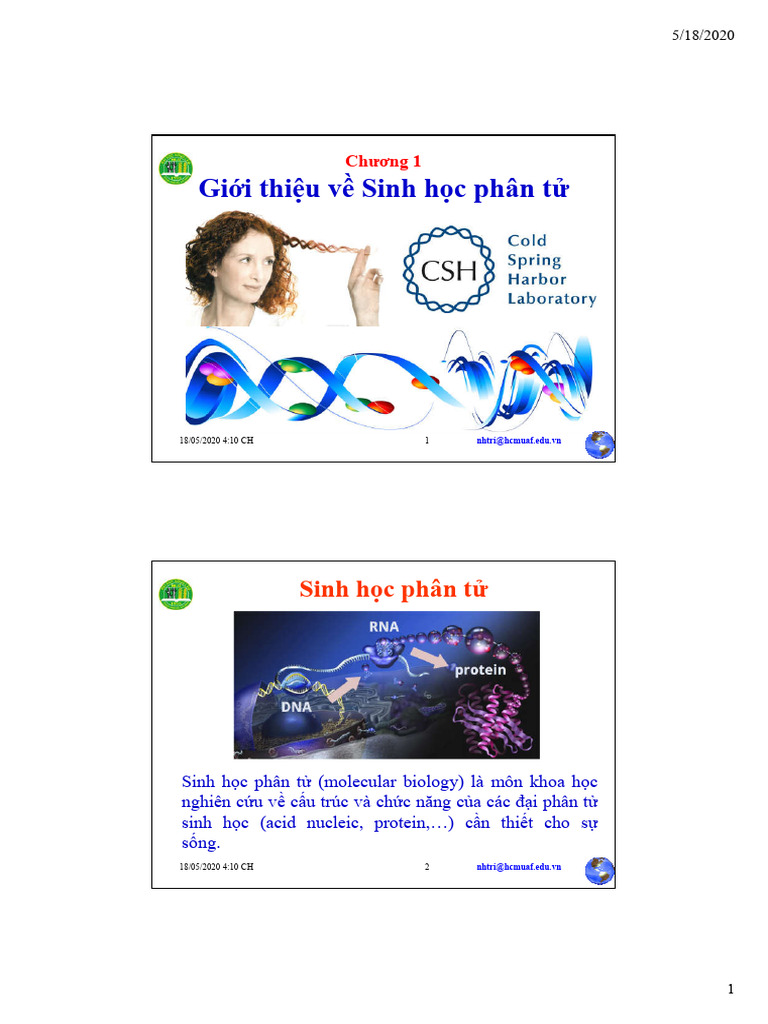 Chuong 1 Gioi Thieu Ve Sinh Hoc Phan Tu | PDF