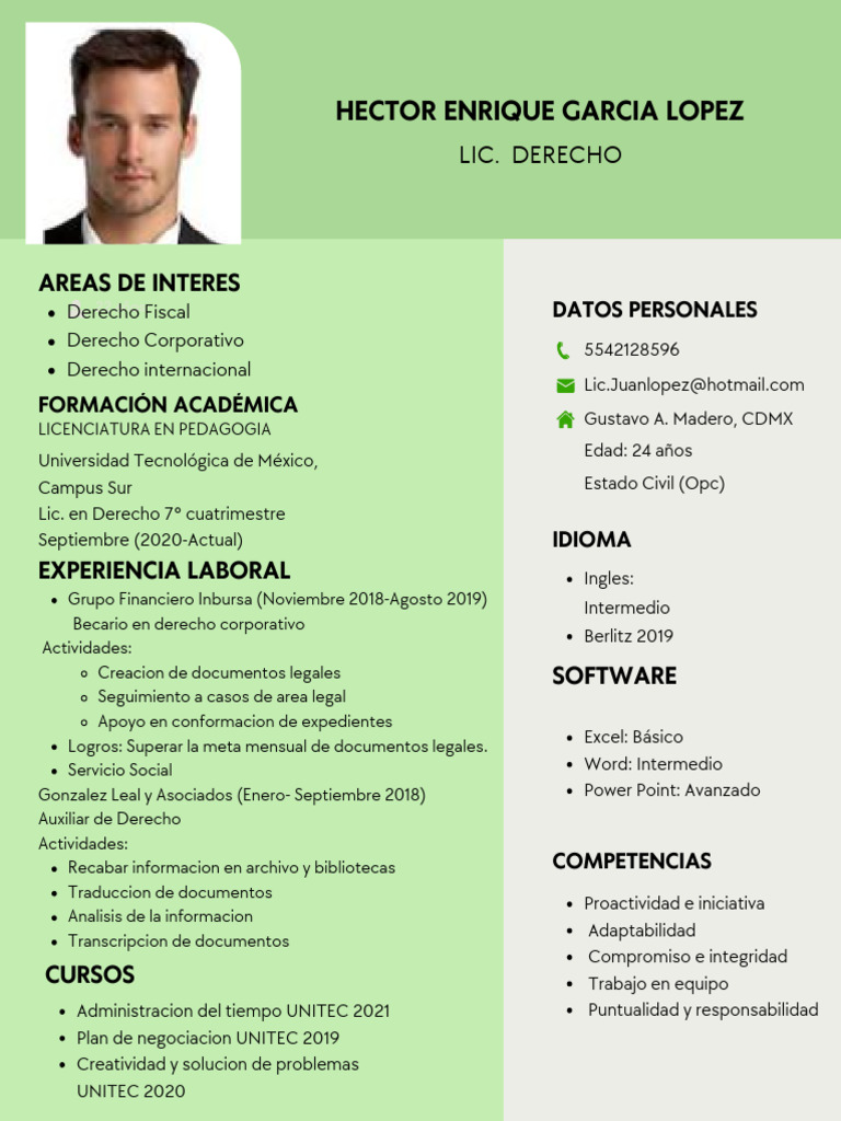 Curriculum Ejemplo | PDF