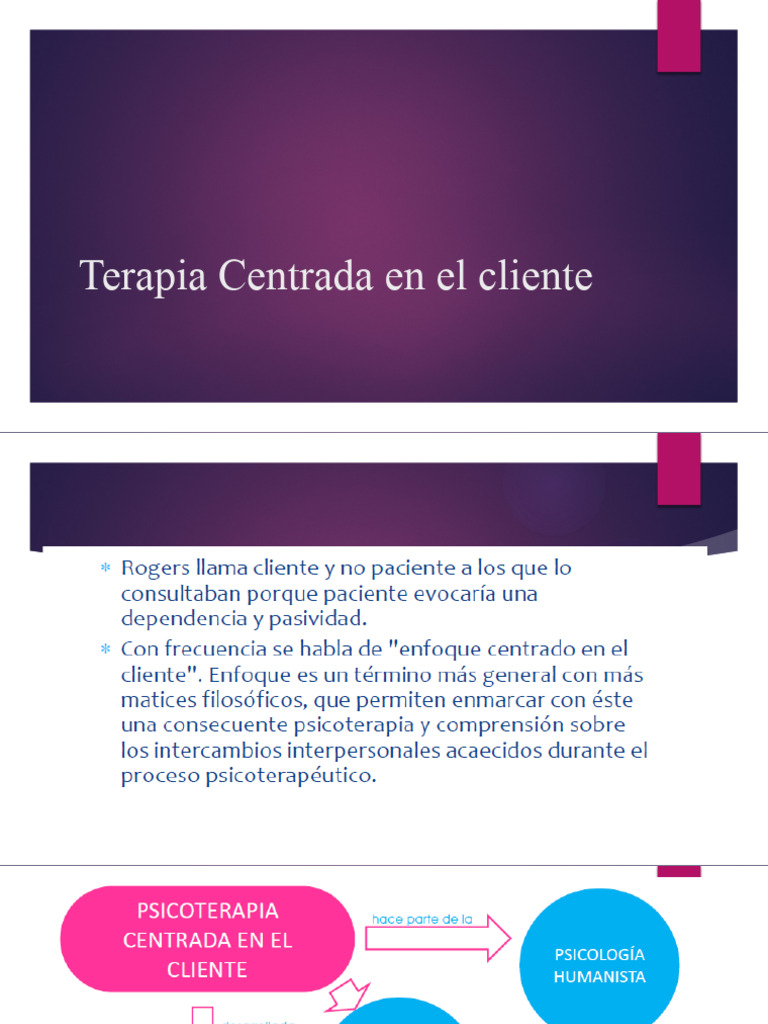Centrada en El Cliente | PDF