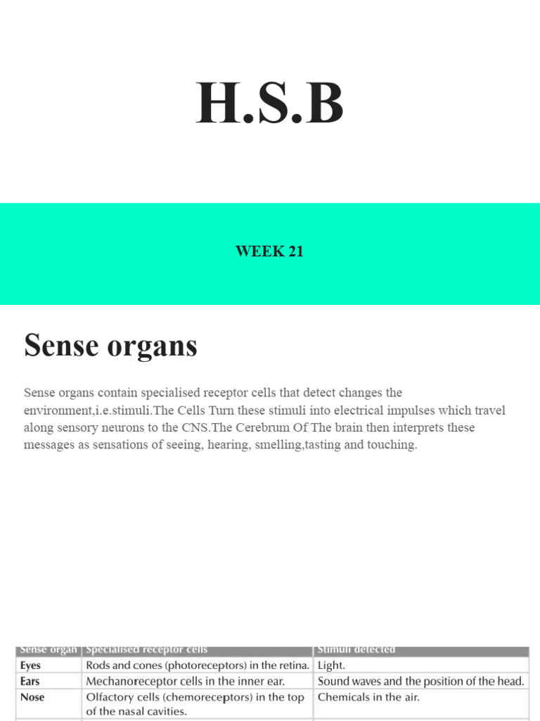 HSB Notes | PDF