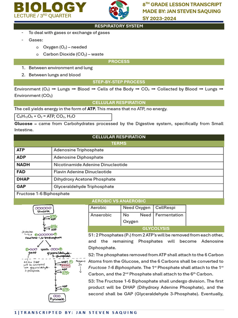 G8 Reviewer - 3rd Grading | PDF | Heart Valve | Atrium (Heart)