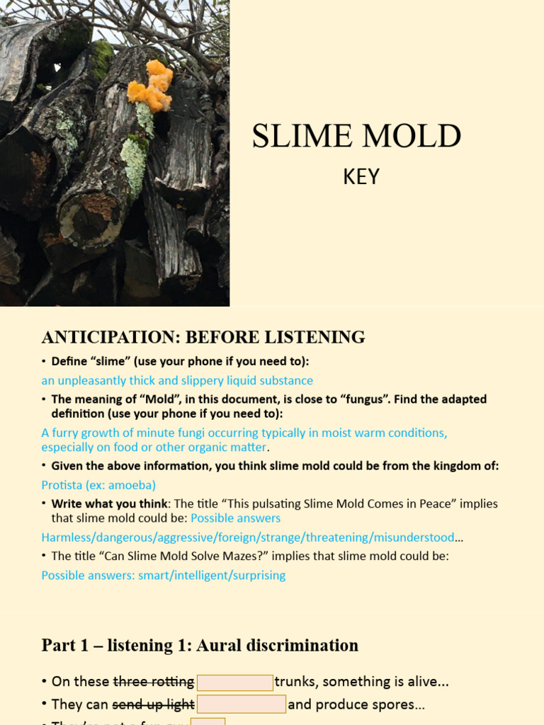 Slime Mold Key | PDF | Fungus | Mold