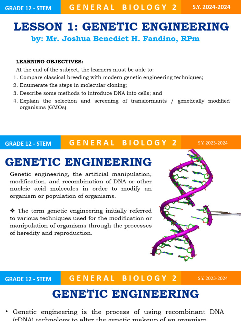 General Biology 2 Genetic Engineering | PDF | Plasmid | Genetic Engineering