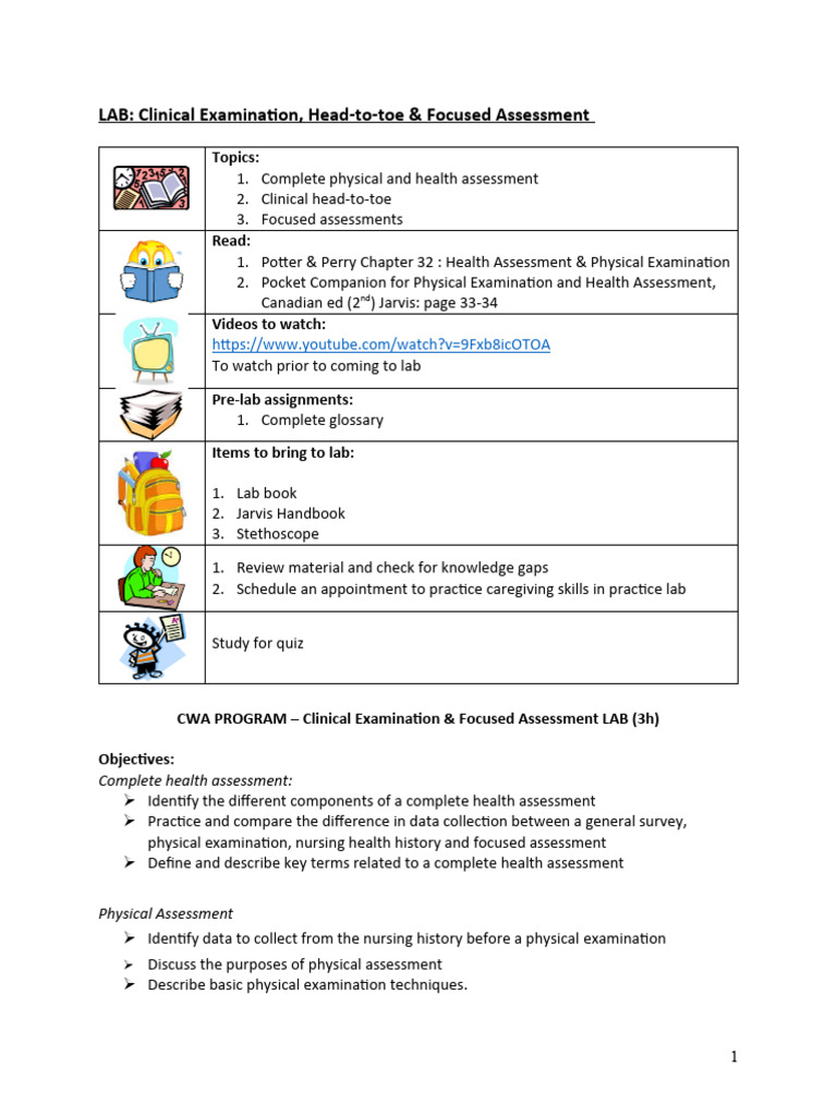 Head-to-Toe and Focused Assessment Guide | PDF | Physical Examination ...