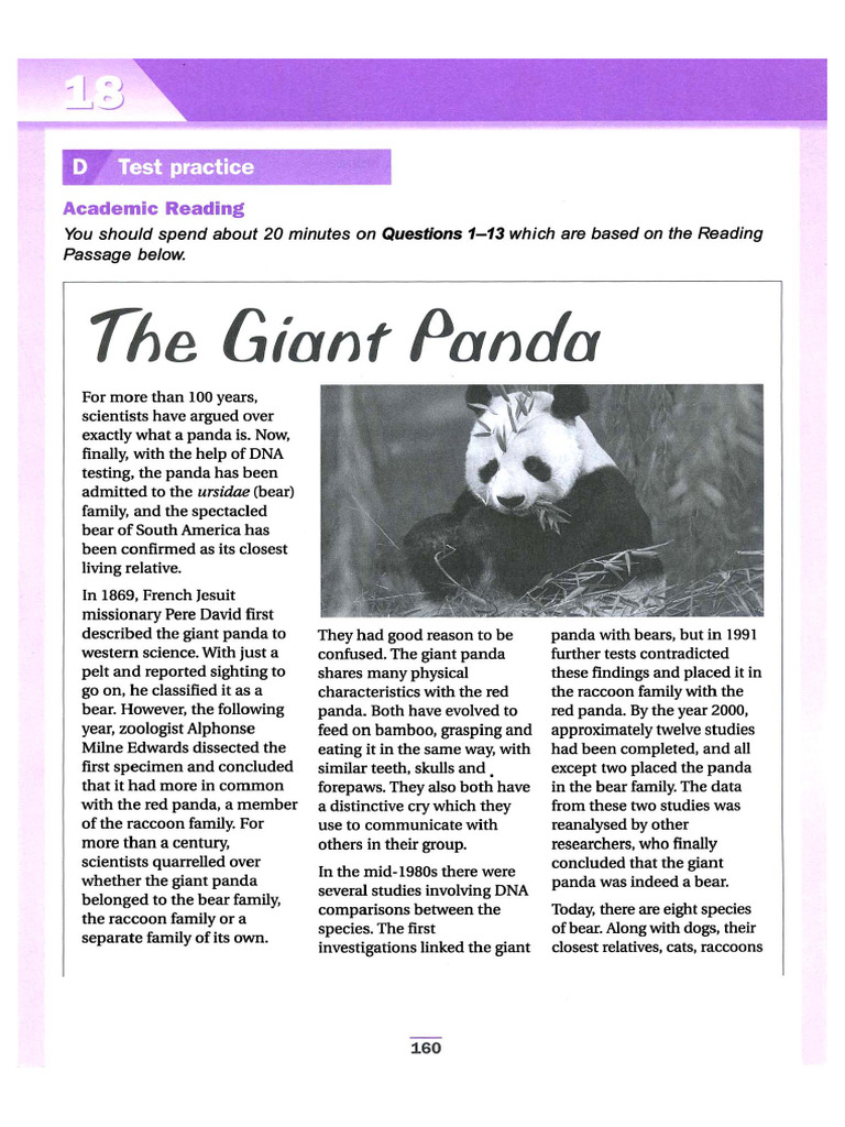 G4I Reading The Giant Panda | PDF