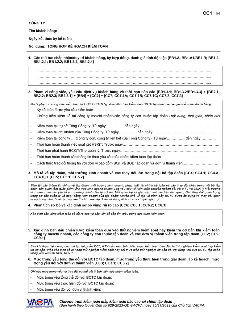 CC1. Tong Hop Ke Hoach Kiem Toan | PDF