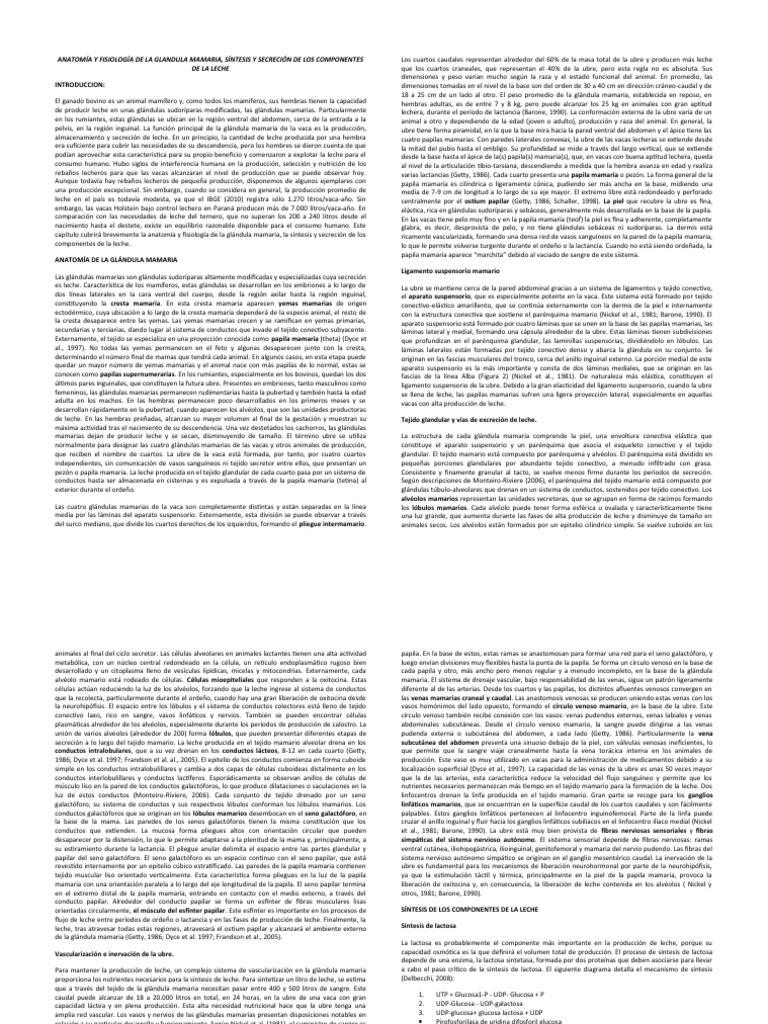 Anatomía y Función de la Glándula Mamaria | PDF | Pecho | Leche