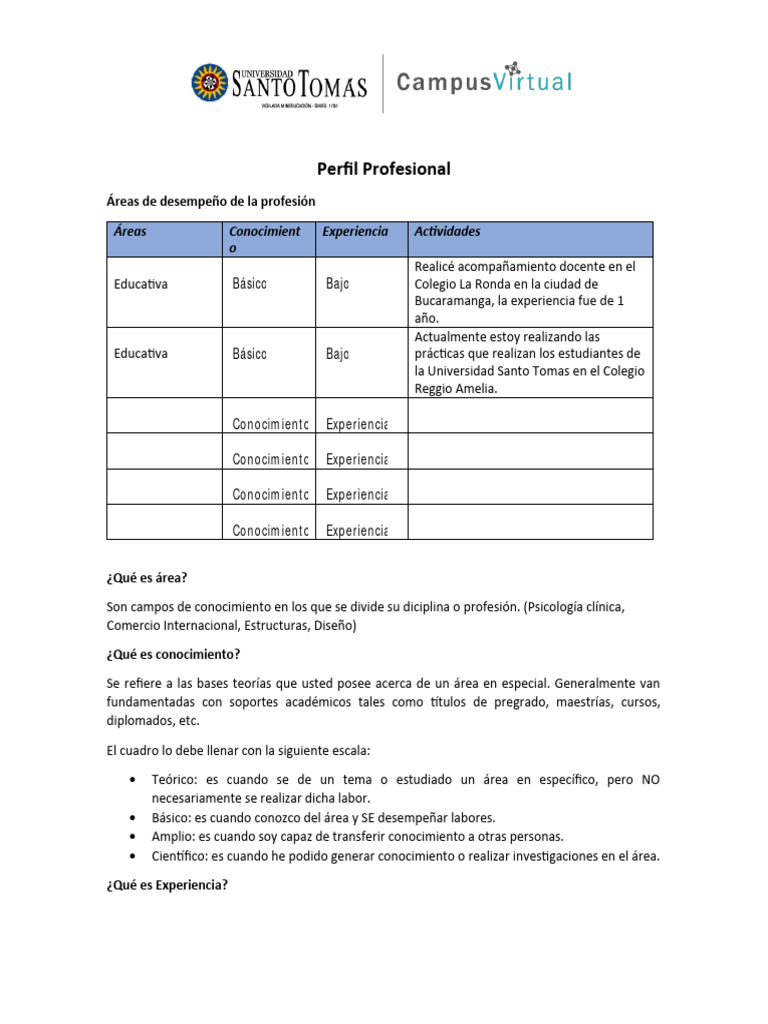 Formato Perfil Profesional | PDF | Conocimiento | Experiencia