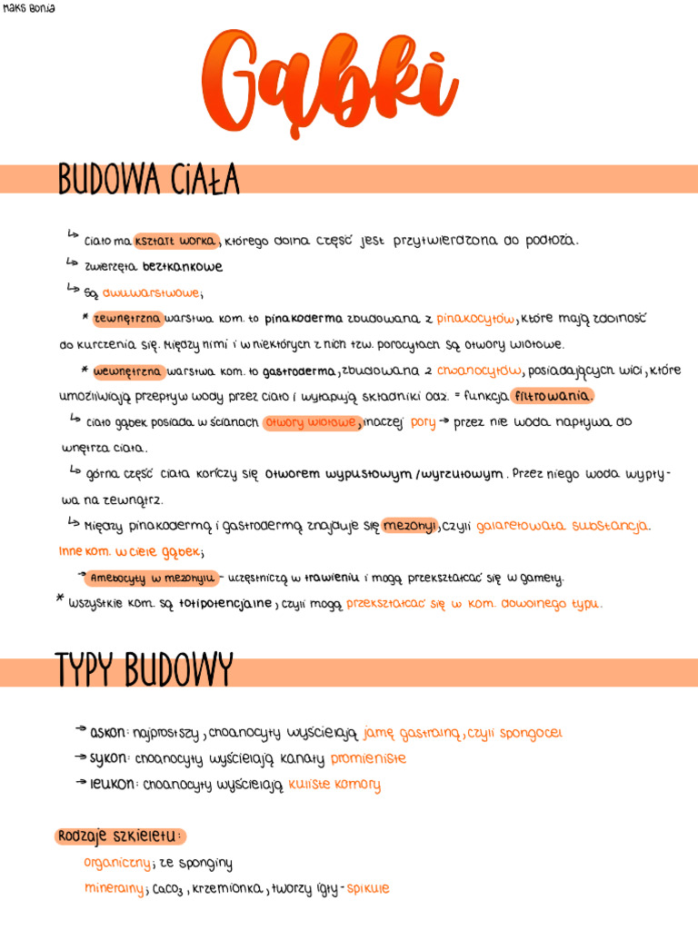 Gąbki - Notatka | PDF
