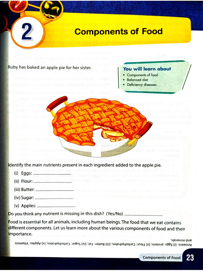 Components of Food | PDF