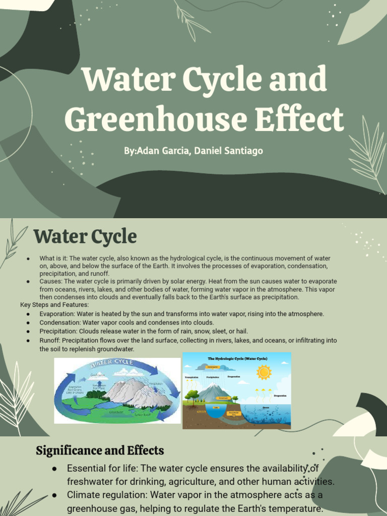 Water Cycle or Greenhouse Effect | PDF | Water Cycle | Greenhouse Effect