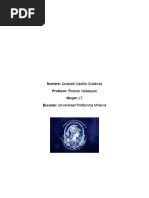 Guía de Sutura Colchonero Horizontal | PDF | Cirugía | Especialidades ...
