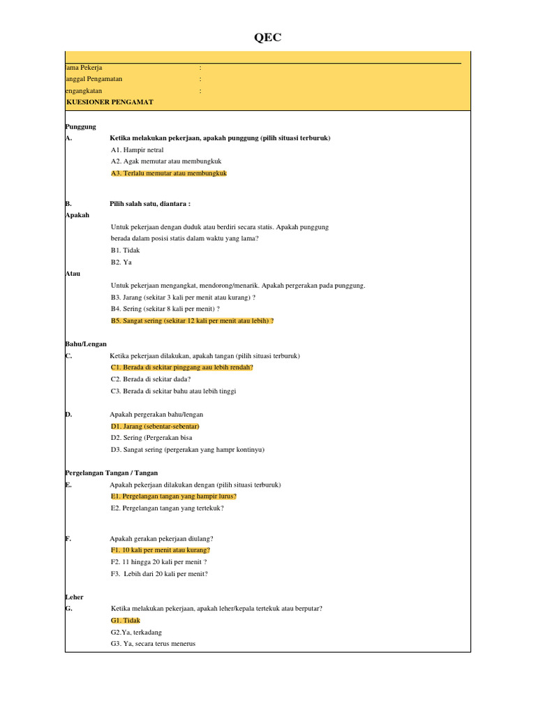 Lembar Kuisioner QEC | PDF