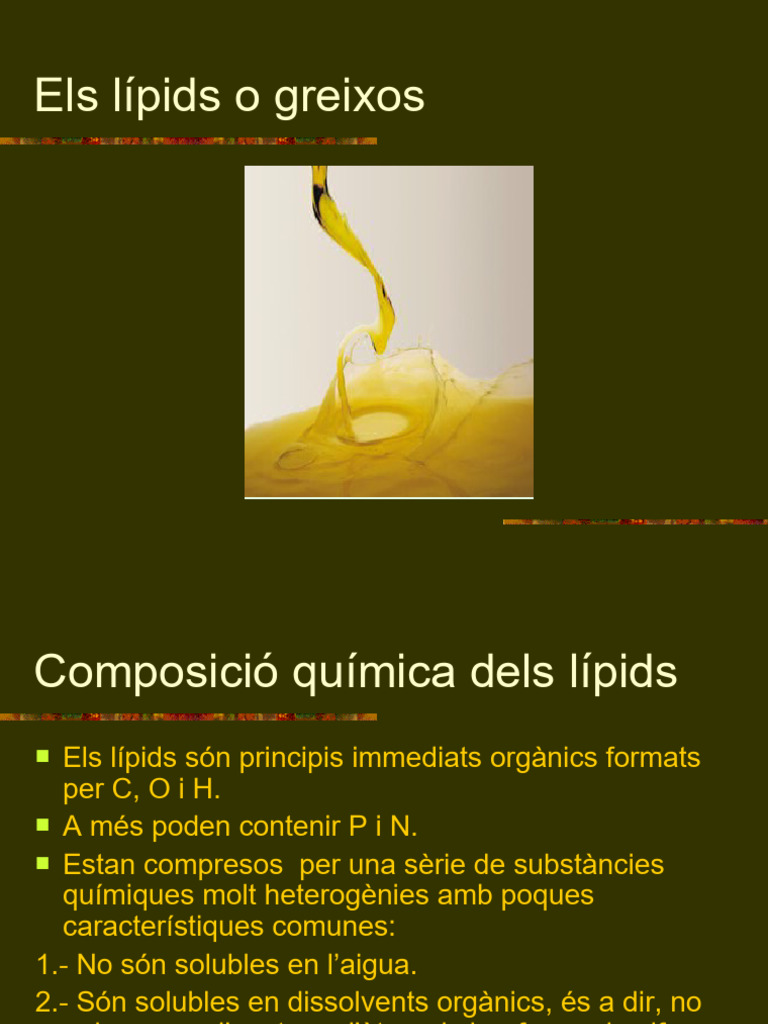 Els Lípids - M09 | PDF