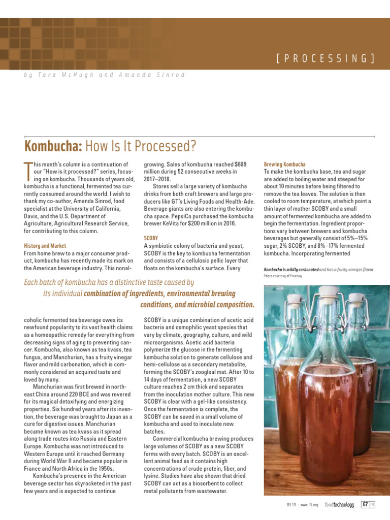 Kombucha How Is It Processed | PDF | Fermentation | Drink