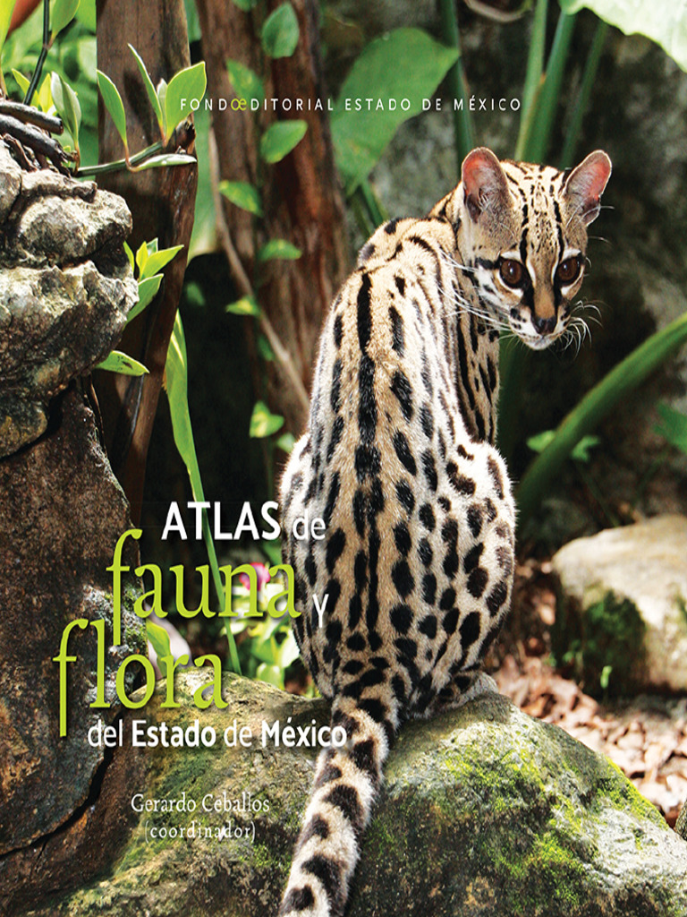 Atlas Flora Fauna | PDF | Murciélago | liebre