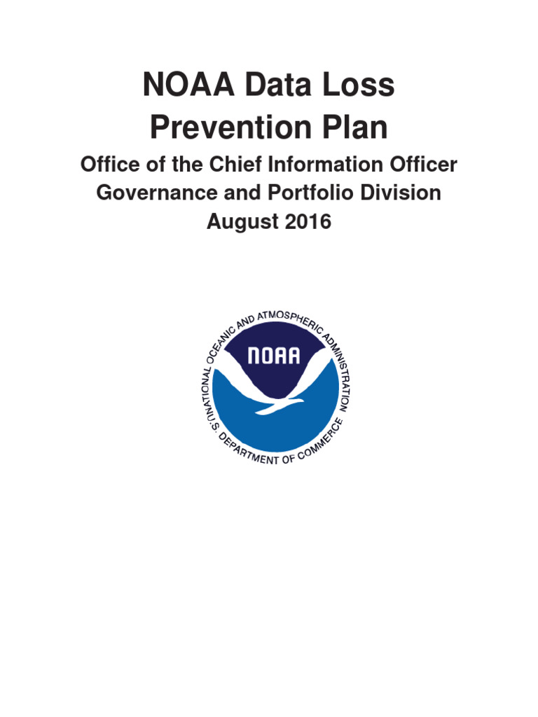 DLP Plan Final Signed | PDF | Information Technology | Computing