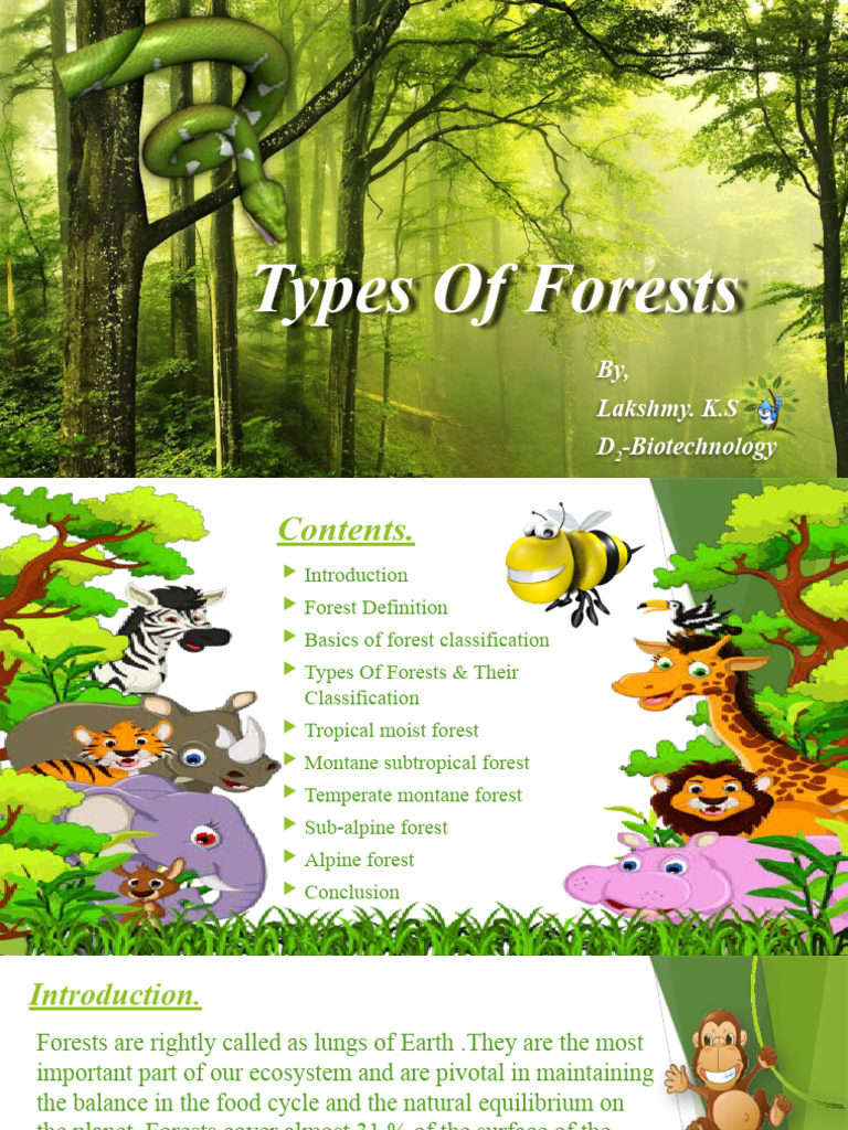 Types of Forests- Lakshmy.k.s | PDF | Forests | Tropics