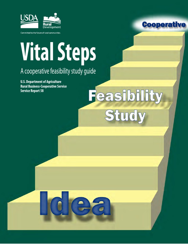 Feasib Format | PDF | Feasibility Study | Loans