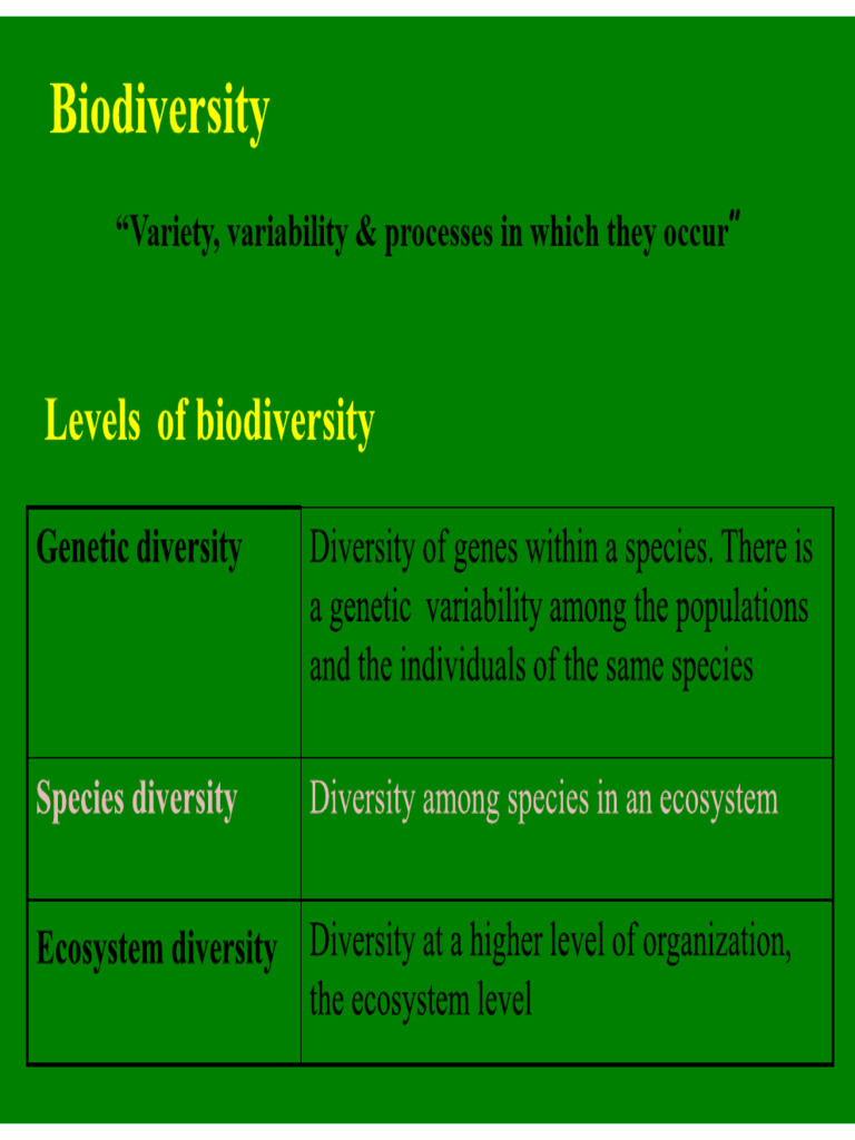 Ecosystem Services and Biodiversity | PDF | Ecosystem | Plants
