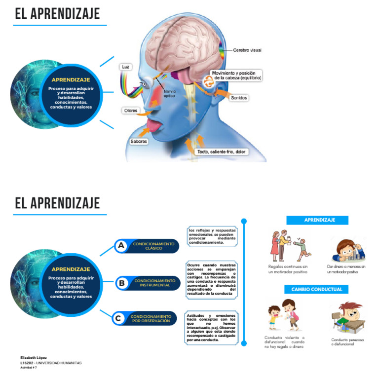 El Aprendizaje | PDF | Aprendizaje | Comportamiento