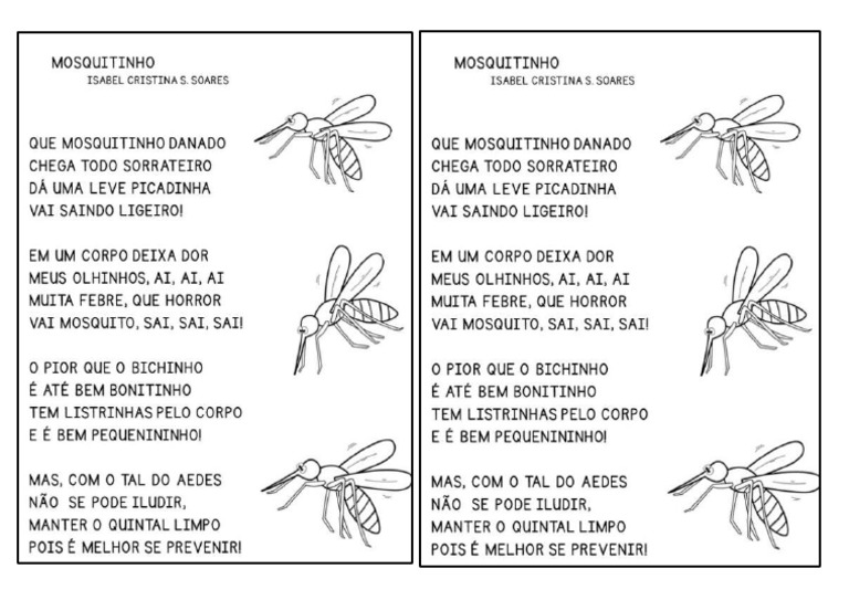 Poema Sobre A Dengue | PDF