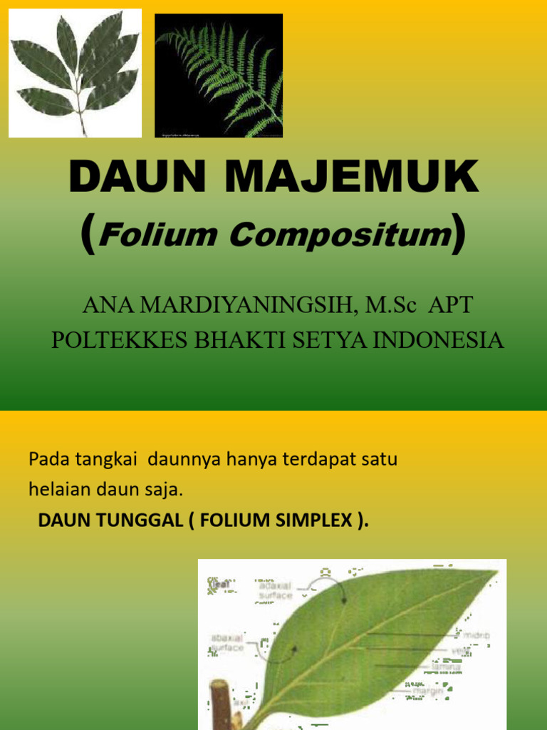 Morfologi Daun Majemuk | PDF