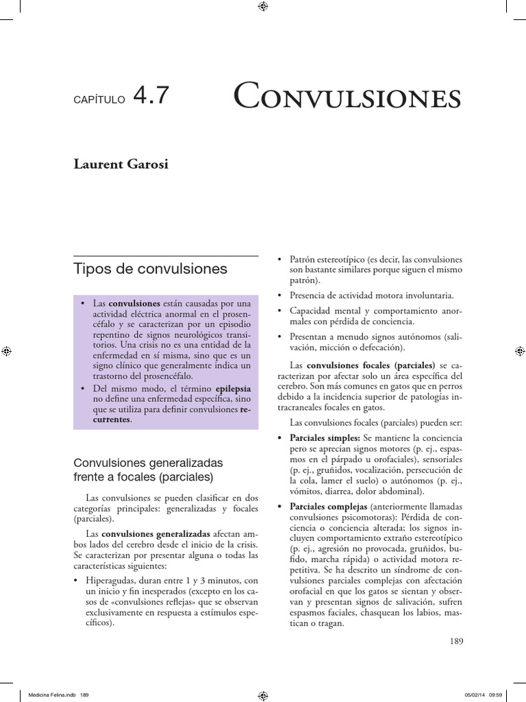 Tipos y Clasificación de Convulsiones | PDF | Epilepsia | Neurología
