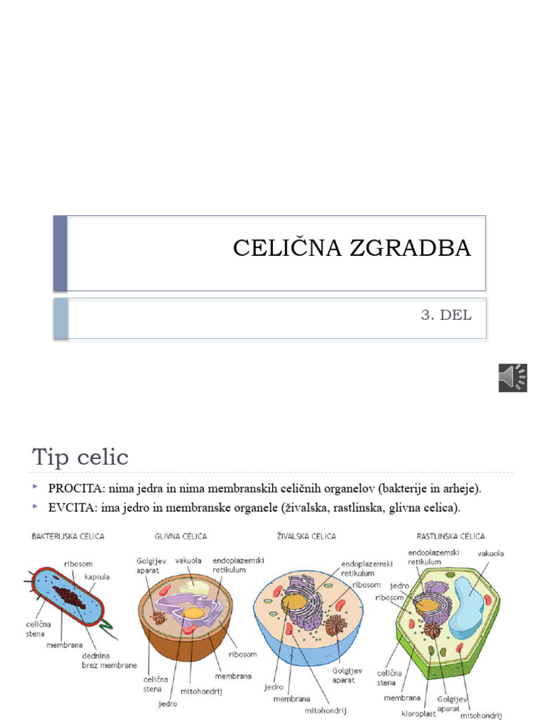 Celična Zgradba 3 Del Snemano | PDF