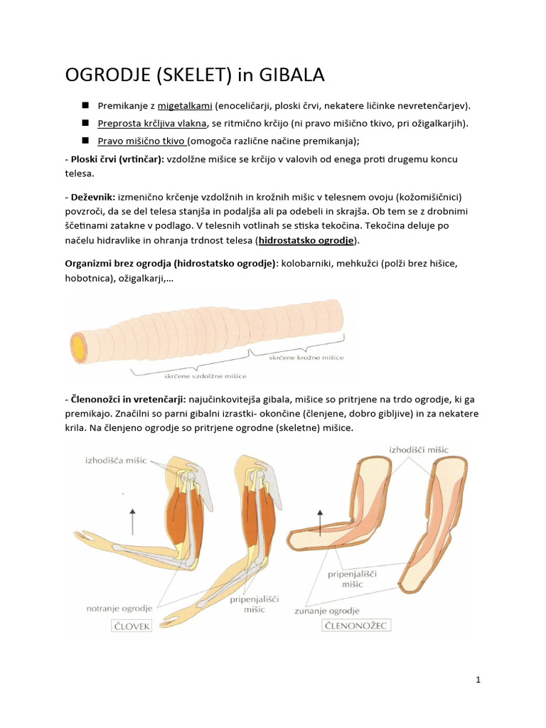 Gibala Snov 2020 | PDF