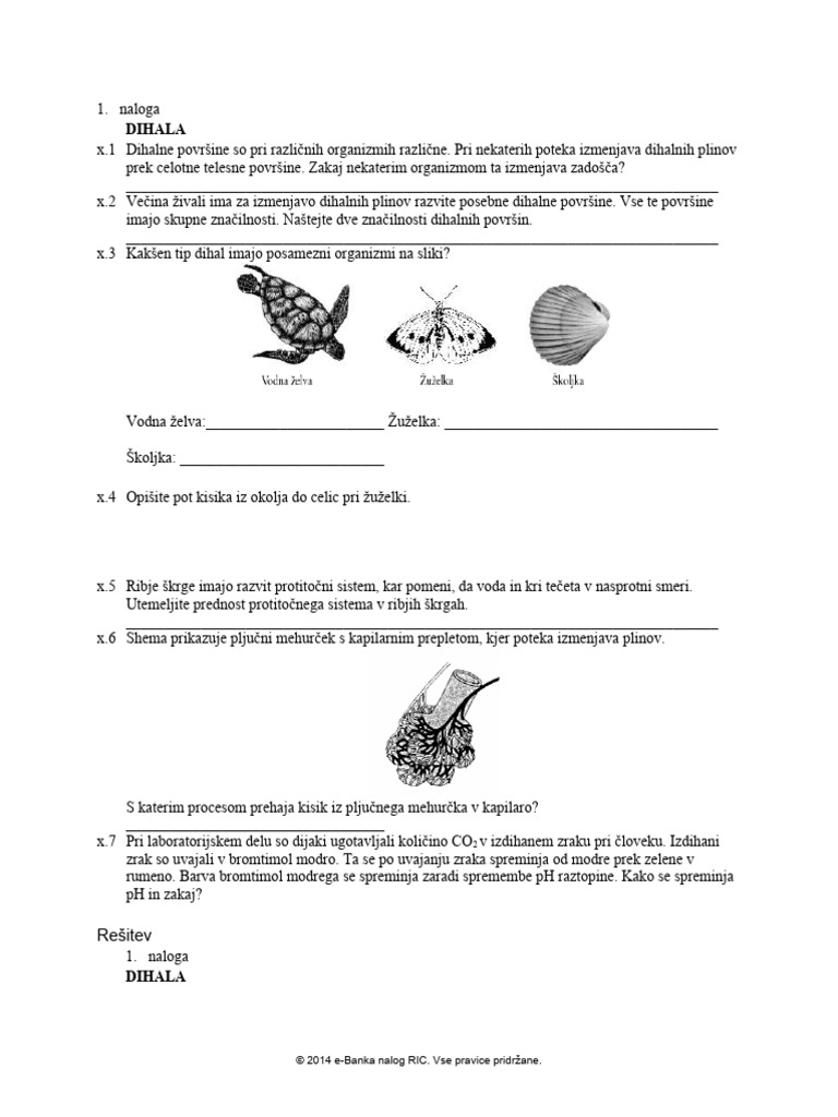 dihala z rešitvami | PDF