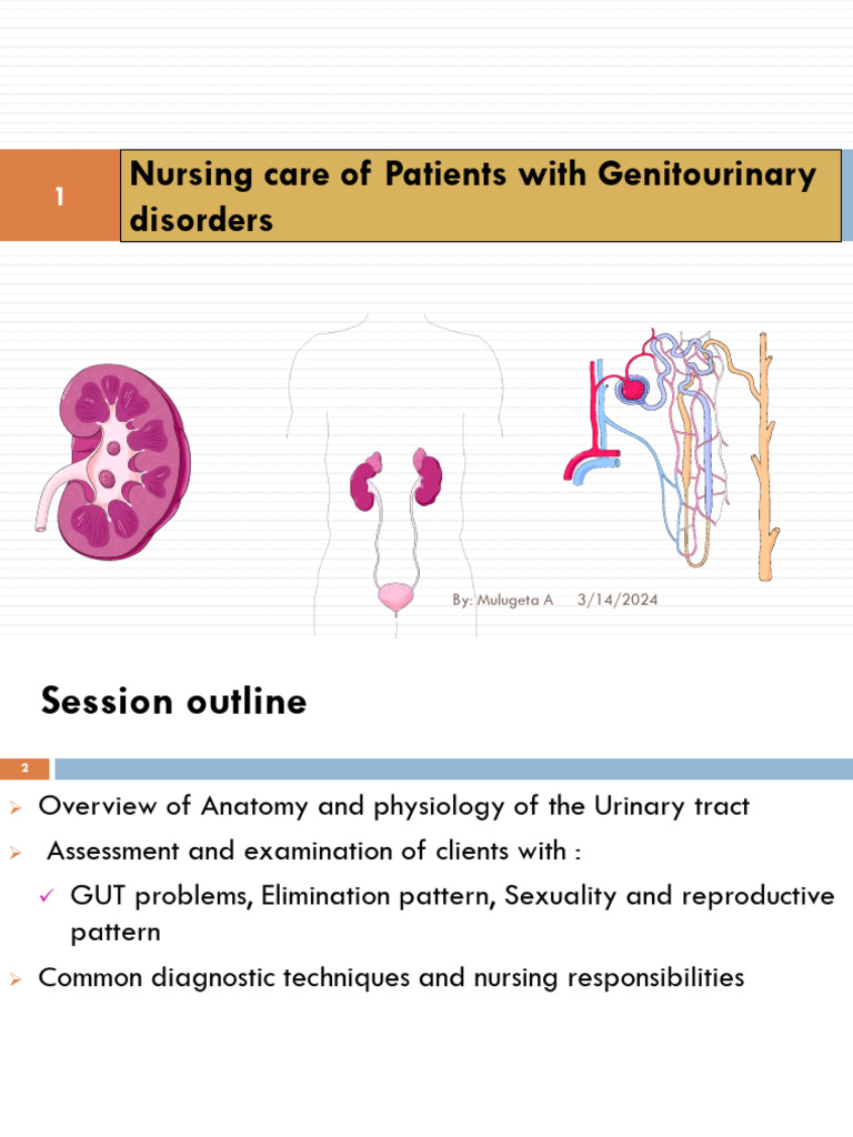 Nusing Care of Pt's With Genitourinary Disorders | PDF | Kidney ...
