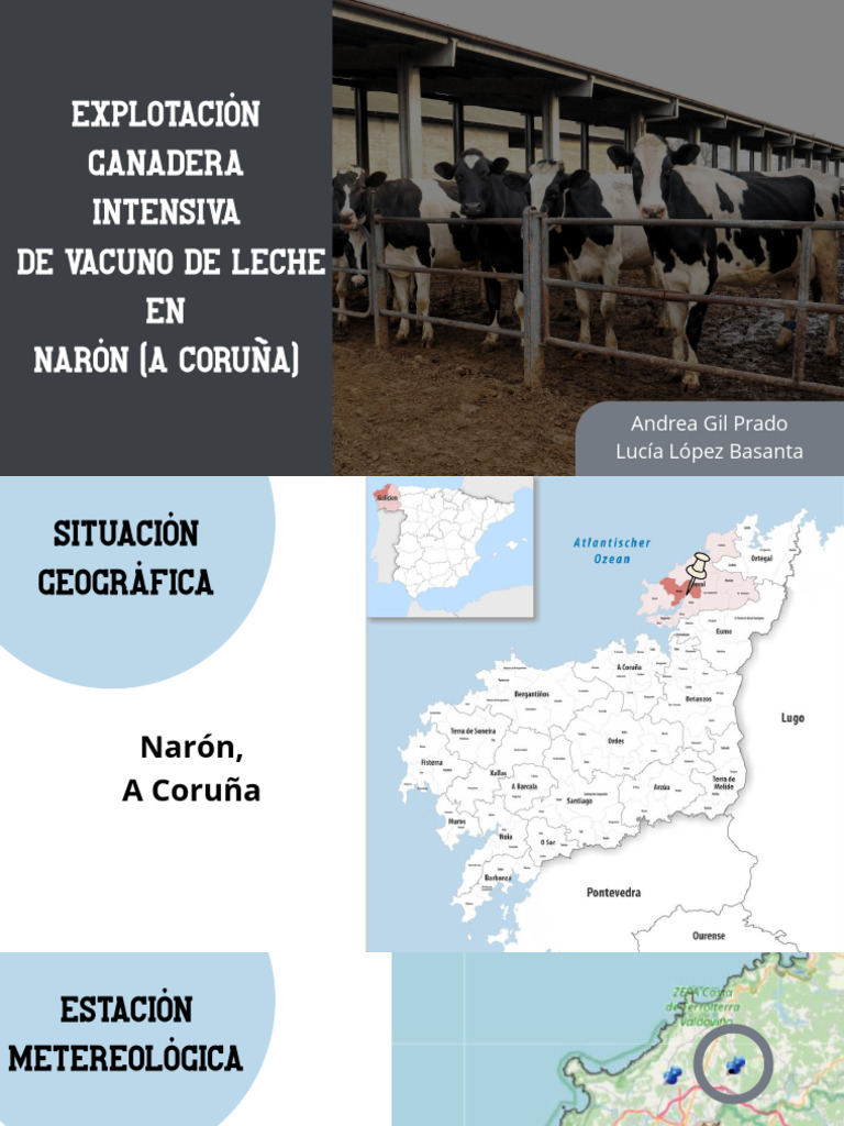 Explotación Intensiva Leche | PDF | Vacas | Agricultura