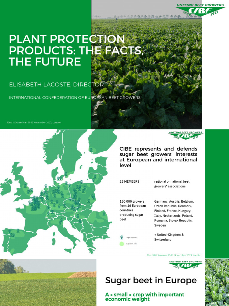 23 CIBE Presentation ISO2023final | PDF | Sugar Beet | European Union