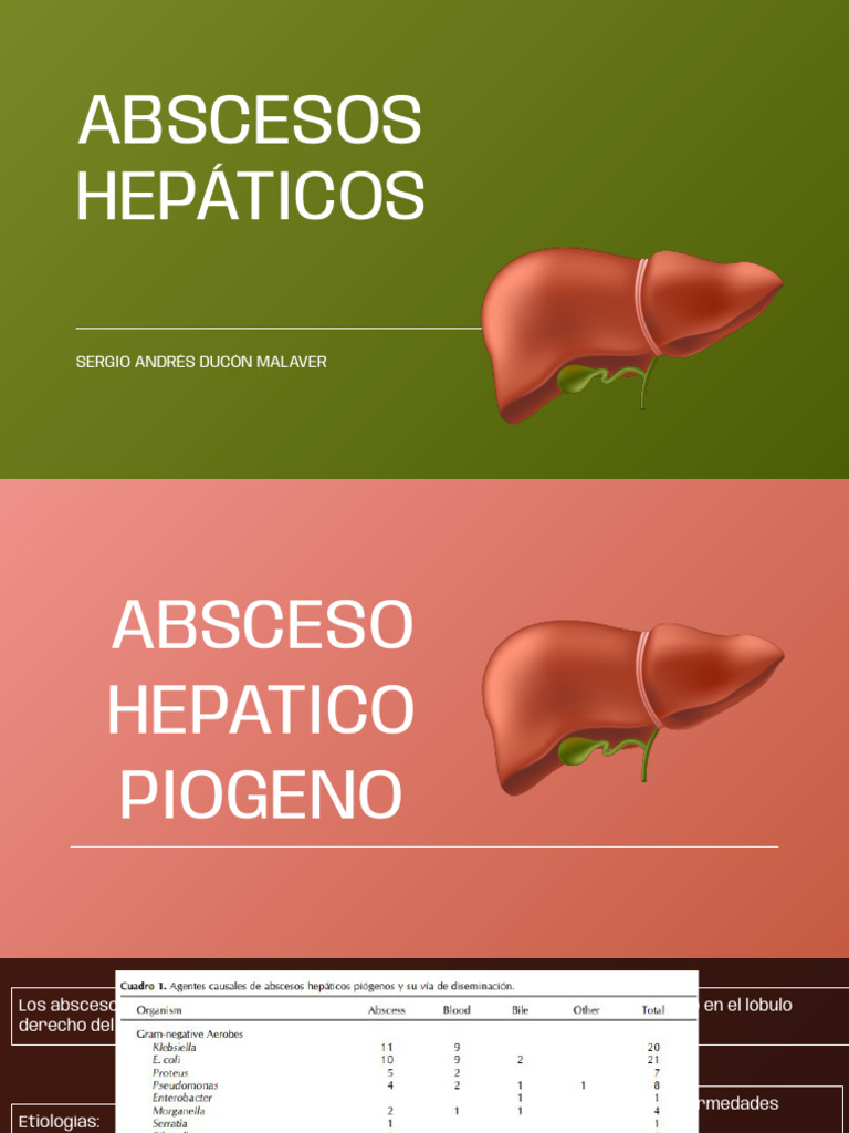 Abscesos Hepáticos | PDF | Medicina CLINICA | Enfermedades y trastornos