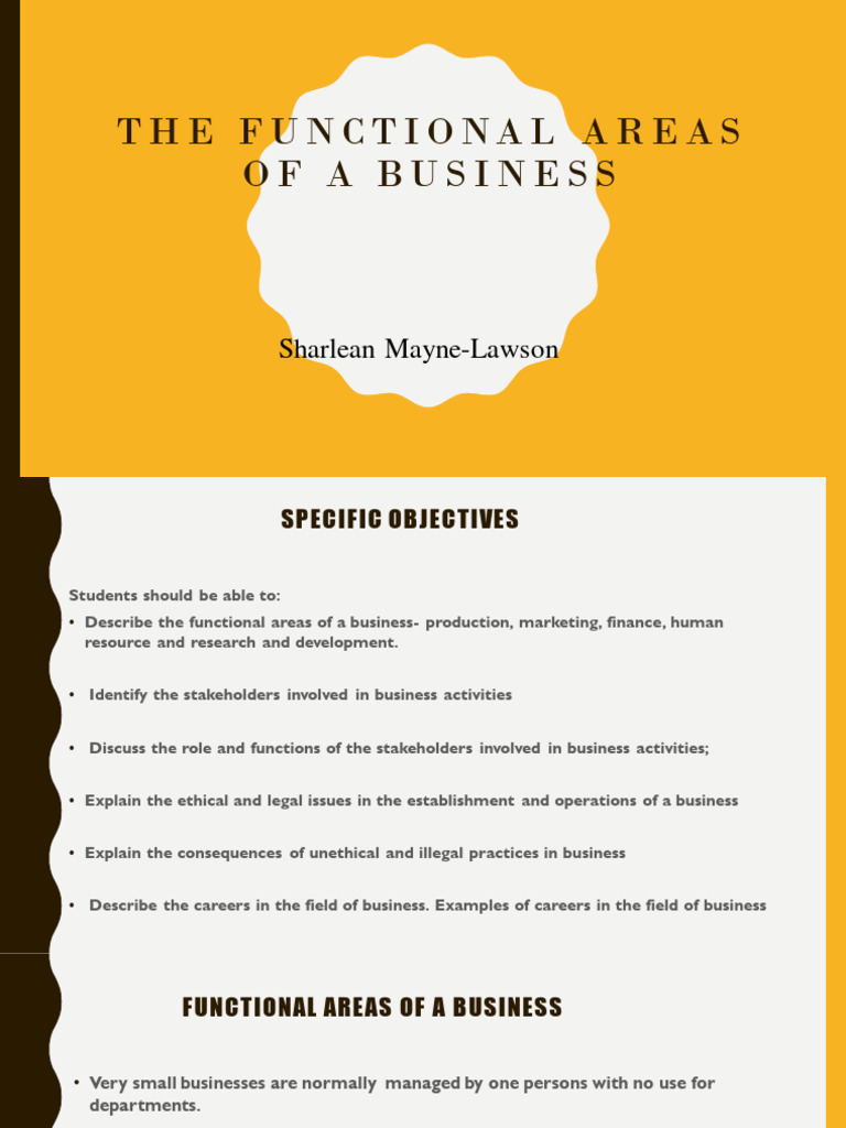 Understanding Business Functional Areas | PDF | Employment | Marketing