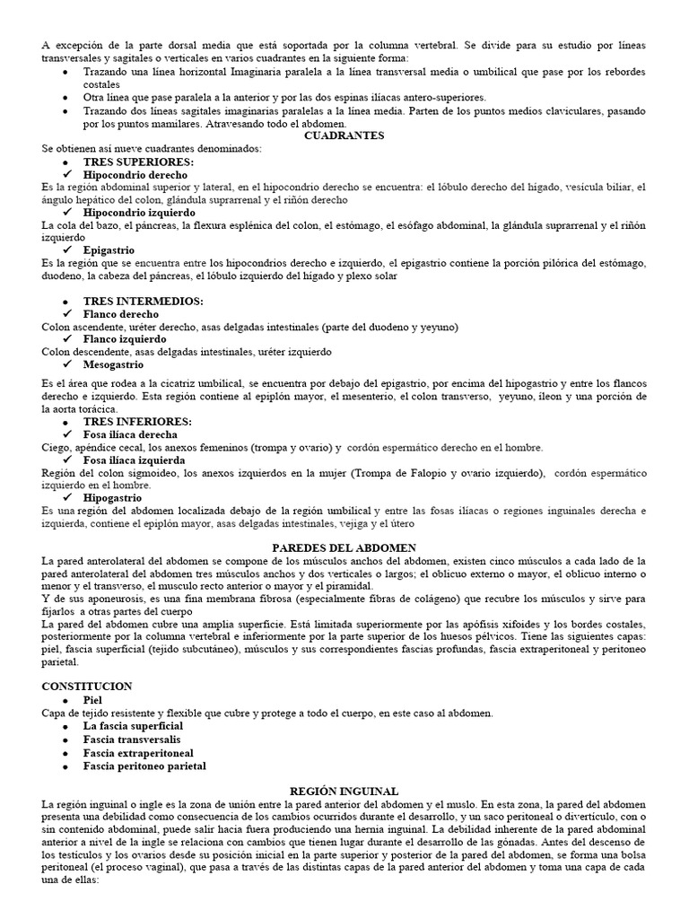 Anatomía del Abdomen y Conducto Inguinal | PDF | Abdomen | Intestino grueso