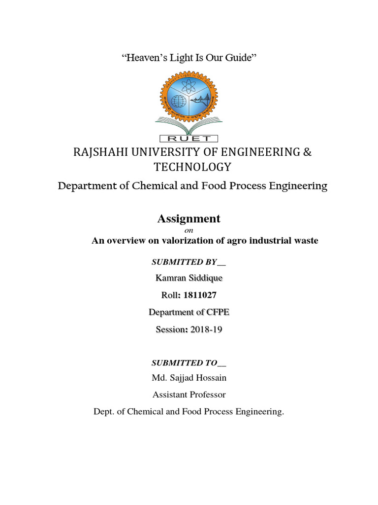 Assignment 2 | PDF | Biofuel | Waste