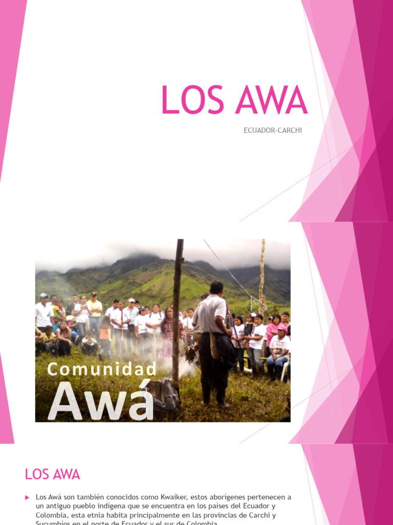 Los Awa | PDF | Ropa | Los bosques