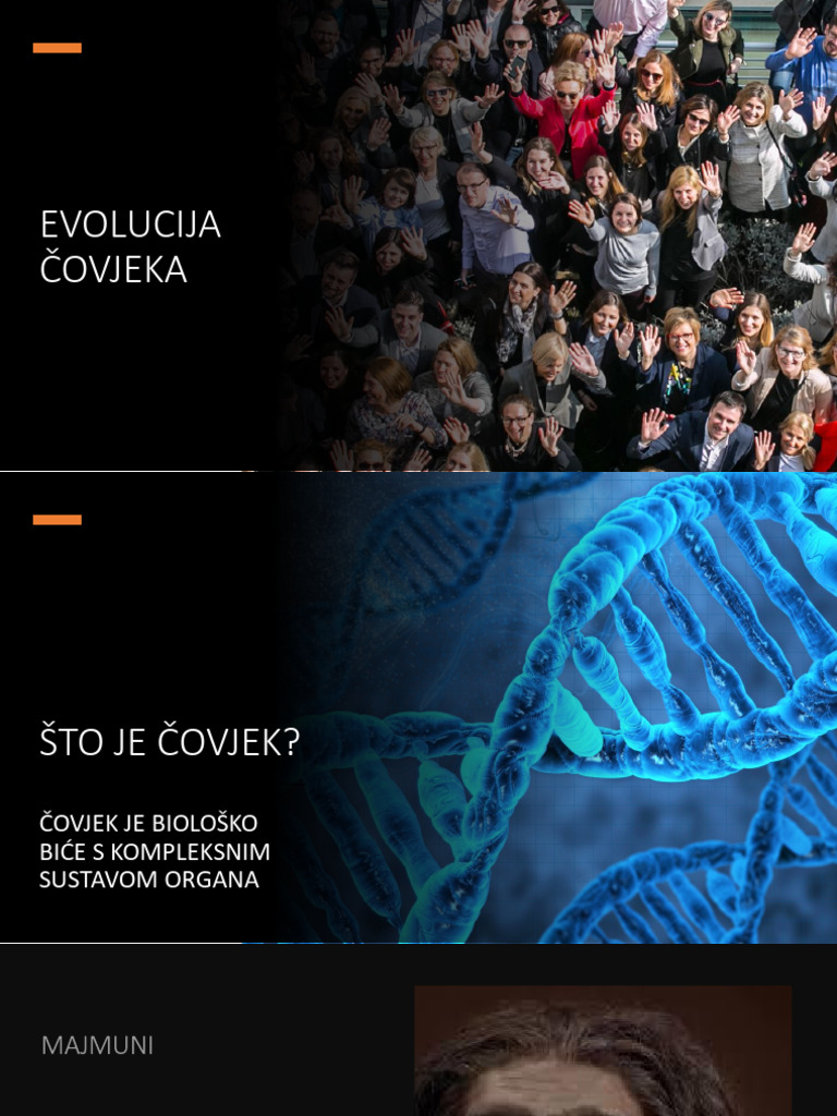 Evolucija Čovjeka | PDF