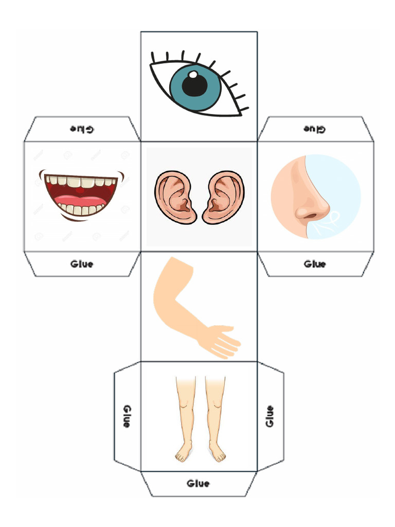 Body Parts Dice | PDF