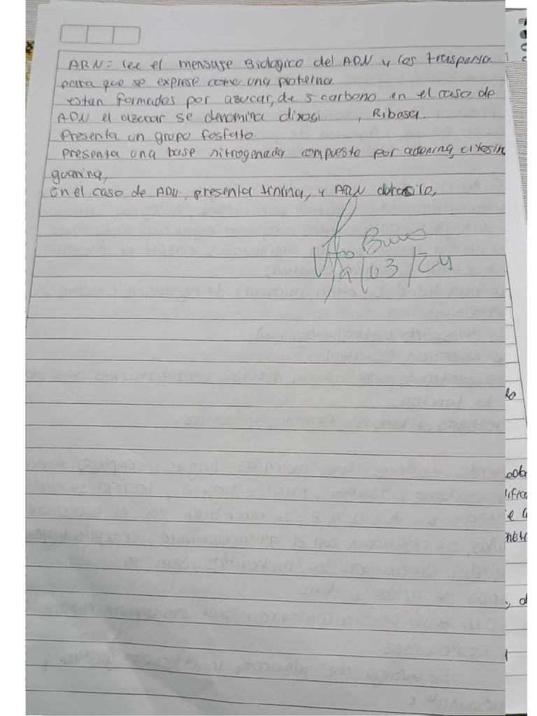 Practica Asignada 2 Sofia Avalos | PDF