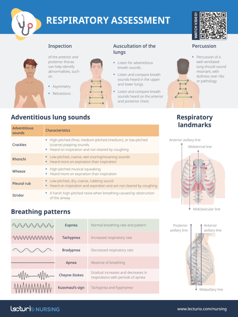 Assessment 2 | PDF | Breathing | Pulmonology