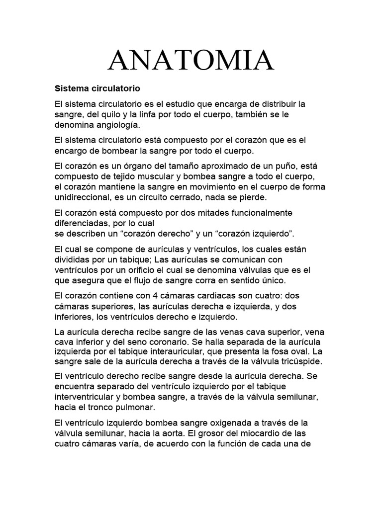 SEMANA llI_FICHA_NIVELACIÓN ANATOMIA SOFIA AVALOS | PDF | Sistema circulatorio | Corazón