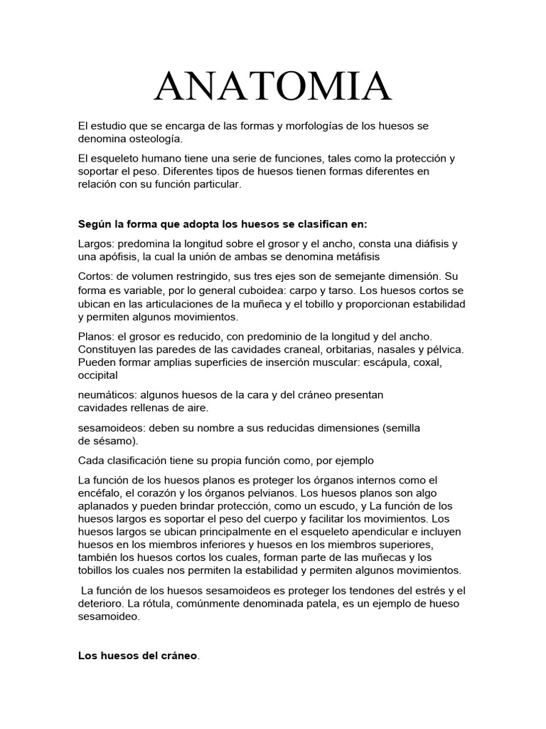 SEMANA Li - FICHA - NIVELACIÓN ANATOMIA SOFIA AVALOS | PDF | Articulación | Cráneo