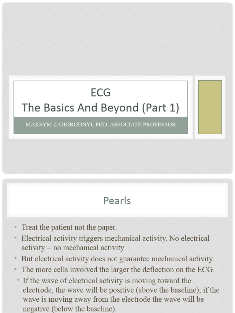 ECGs the Basics (Part 1) Lecture | PDF | Electrocardiography ... ECGs the Basics (Part 1) Lecture | PDF | Electrocardiography ...
