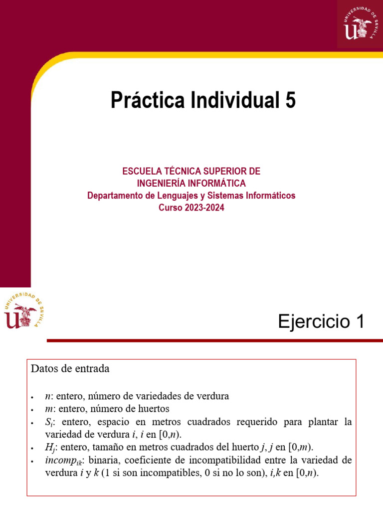PI5_Directrices_resolución(1) | PDF