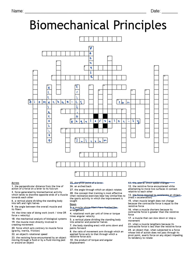 Biomechanical Principles 1027c 6162e815 | PDF | Force | Lever